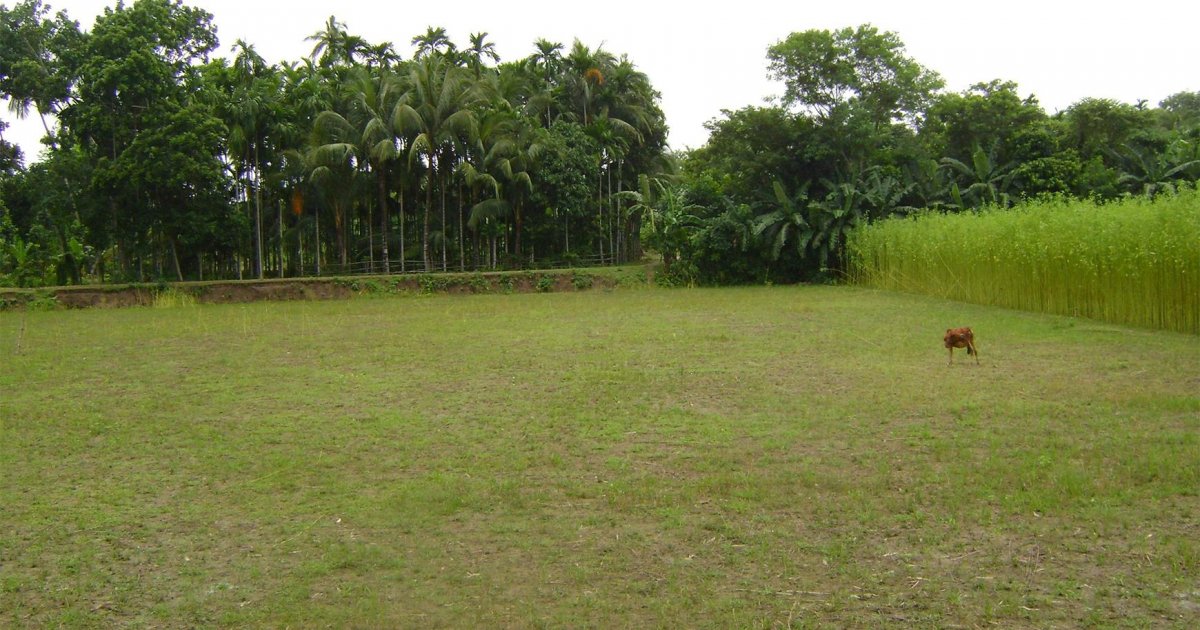 Lease out the land