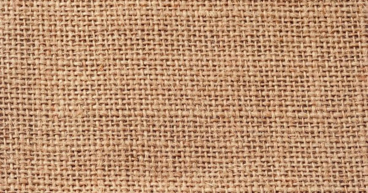 Jute genome decoding shows value of funding research