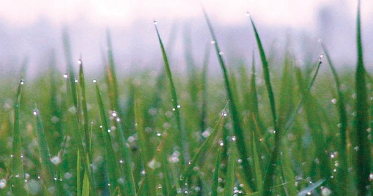 Erratic weather confusing Rangpur residents