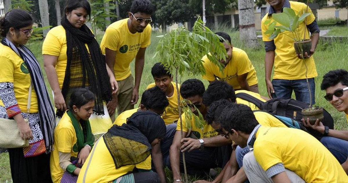 Adequate tree plantations needed for fighting climate change