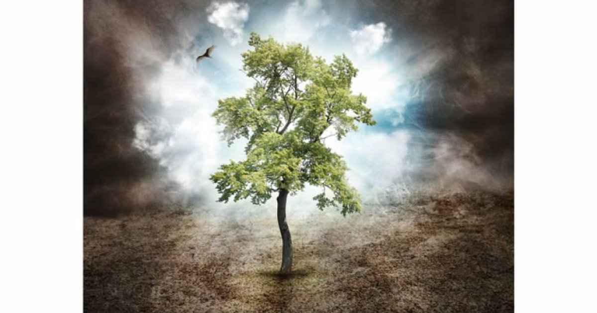 A safe climate future for Bangladesh and the world