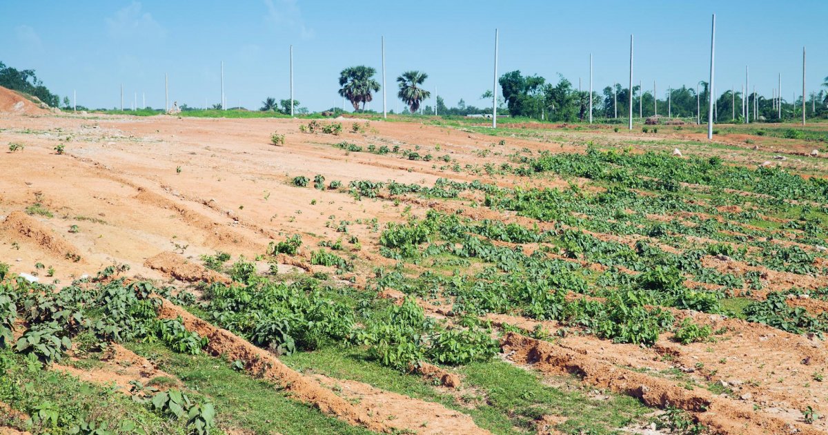Protect our arable land