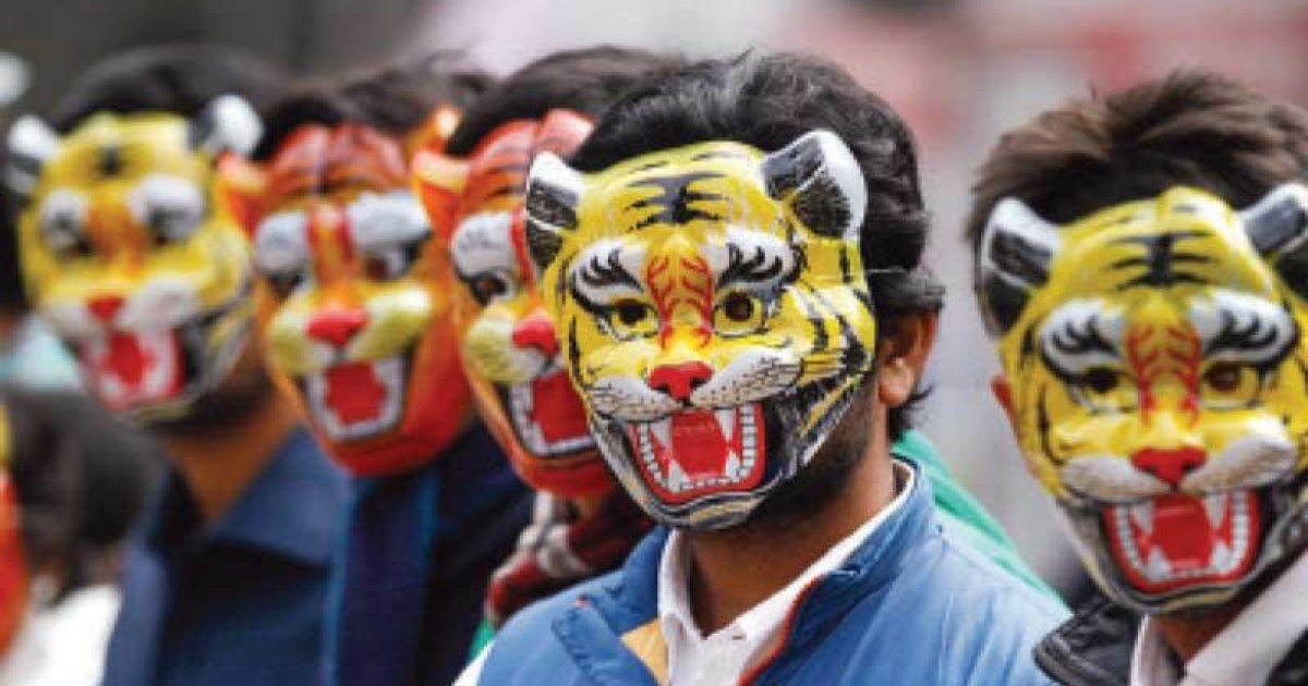 Mourning the Sundarbans