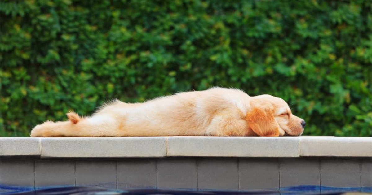 Creative laziness – should we foster it or manage it?