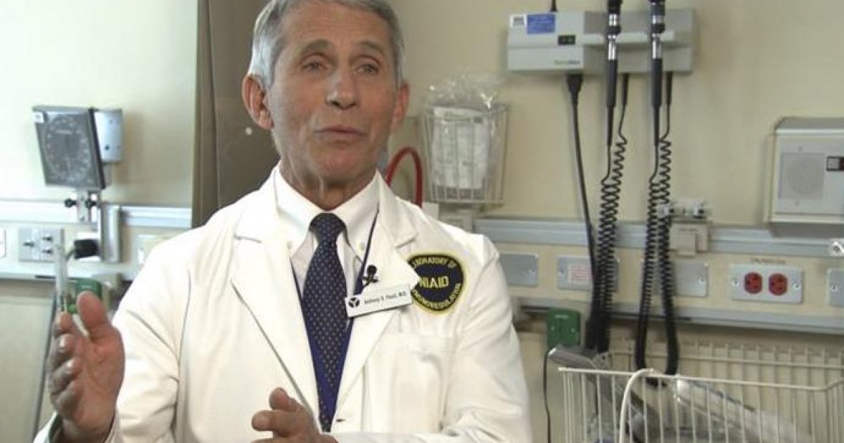 Surprising monkey study could lead to ‘functional’ HIV cure