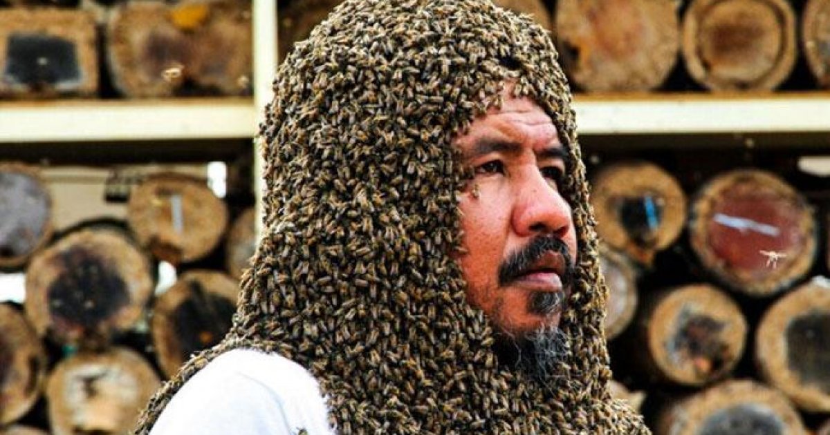 Saudi man aims to break bee bearding world record