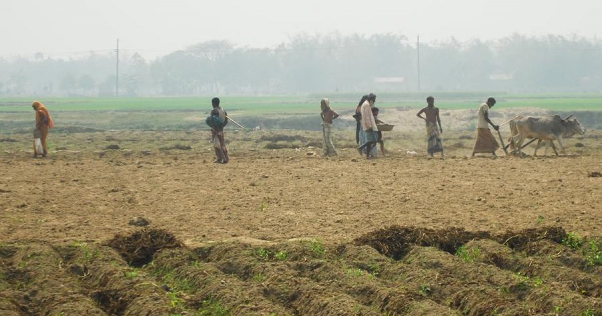 Study: Waste could save our soil