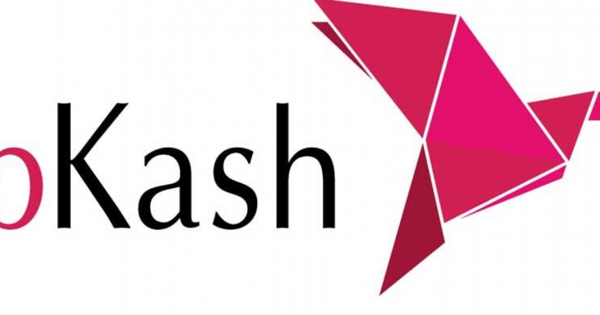 7 more banks add bKash instant money transfer service