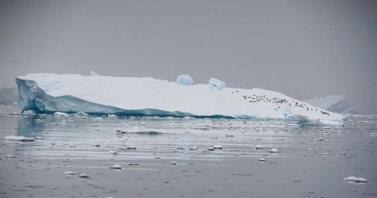 Infographic: Arctic on front line of climate change