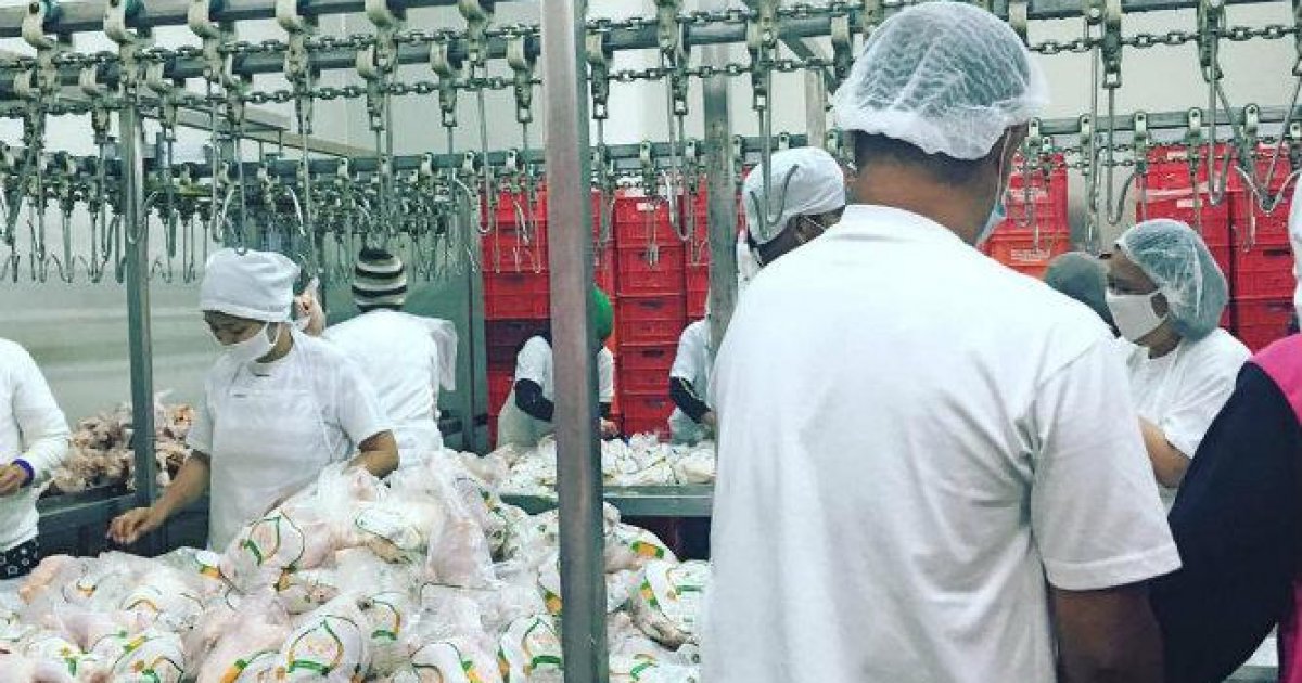 In search of halal meat in Metro Manila