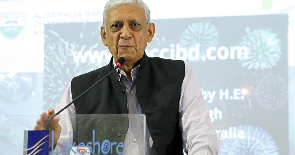 Gowher Rizvi: No change in economic policies despite upcoming elections