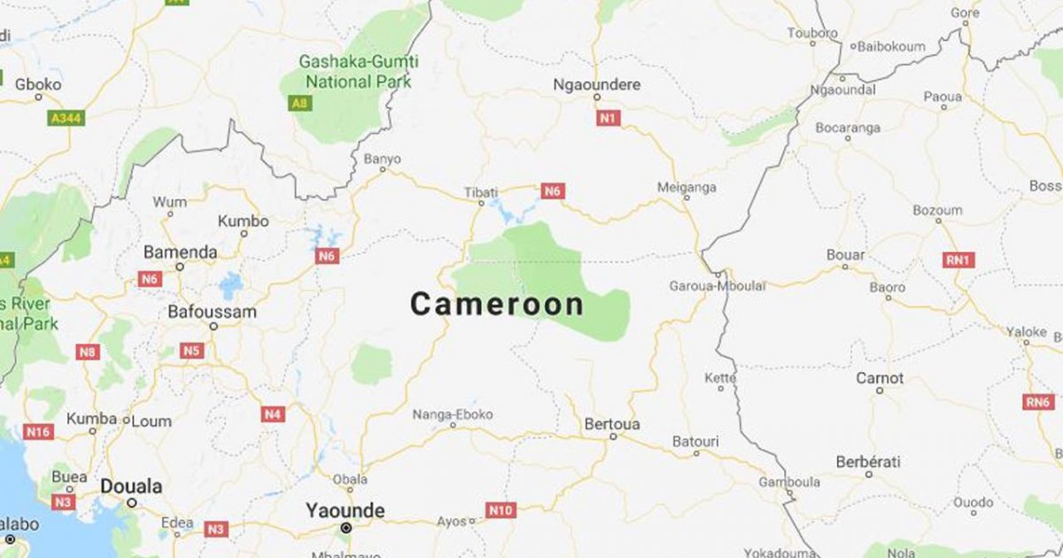 UN: 14 children among 22 dead in Cameroon massacre