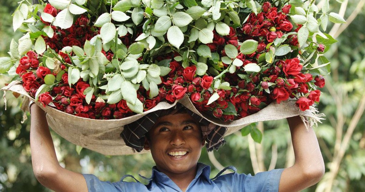 Floriculture business showing robust growth