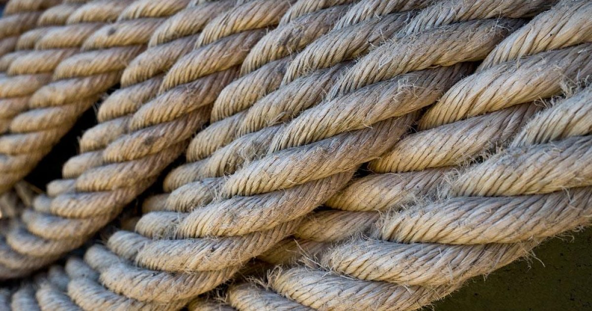 The next step for jute