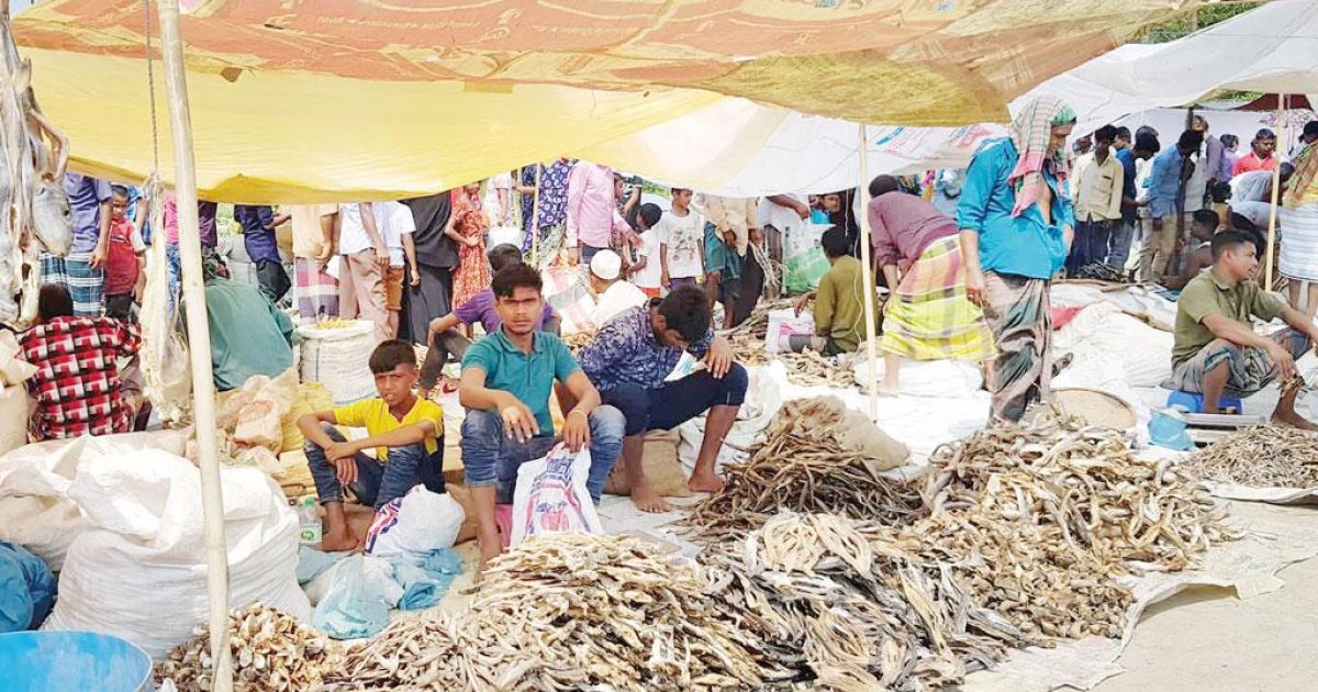Dry fish fair held in Nasirnagar