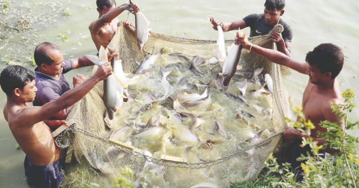 National fisheries week begins July 17