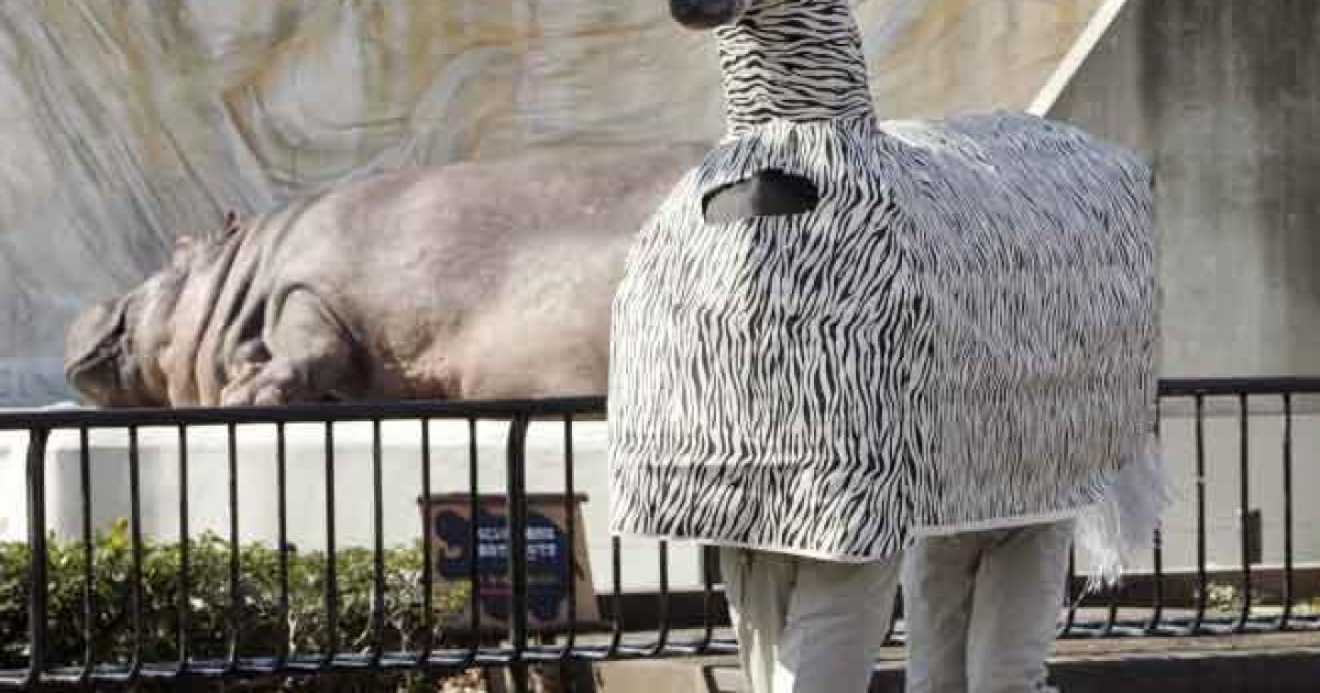 Hilarious footage of 'animal' escaping from Japanese zoo goes viral