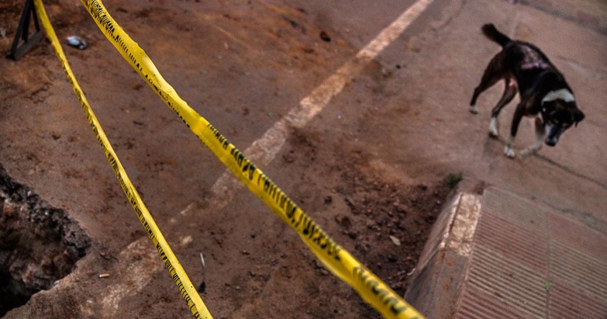The practice of dog culling must stop