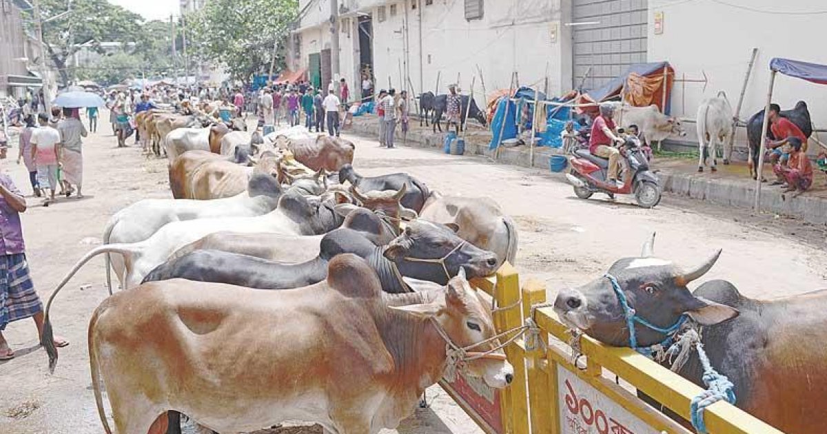 Low customer turnout in traditional cattle markets