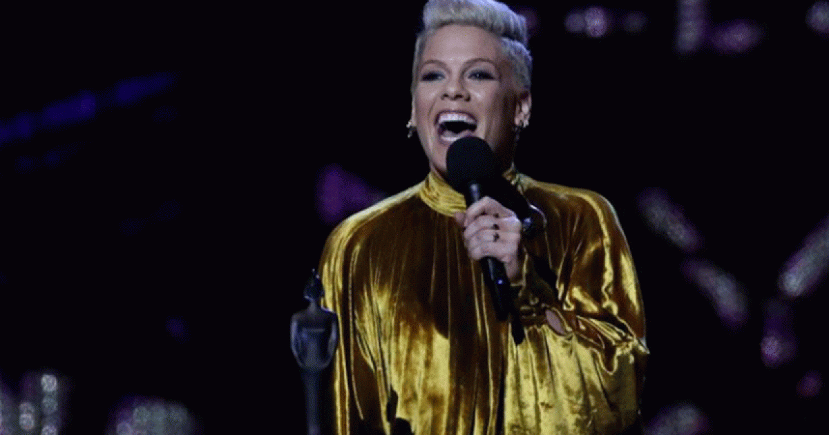 US singer Pink's tour crew crash land at Danish airport