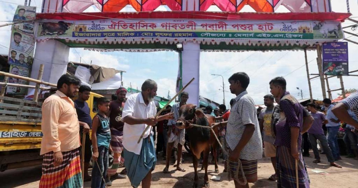 In pictures: Gabtoli cattle market