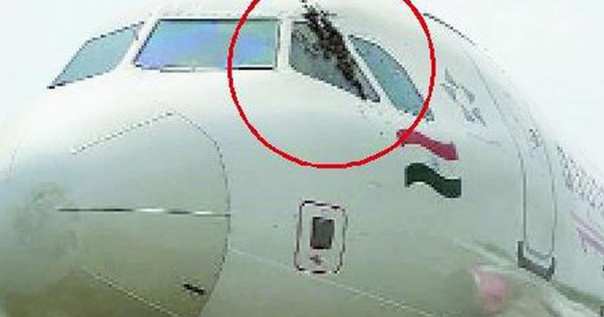 Bees delay Air India flight carrying Bangladeshi delegates