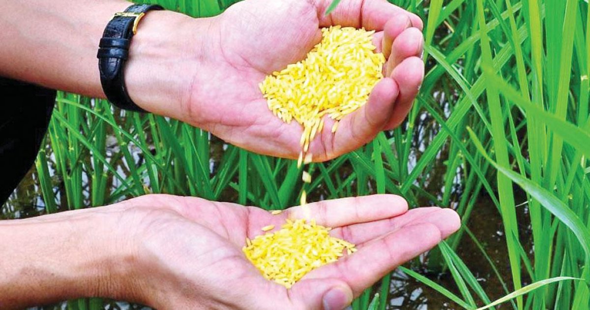 The road to food security