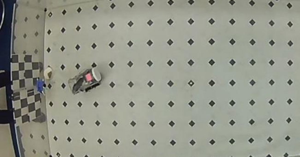New study says rats can drive