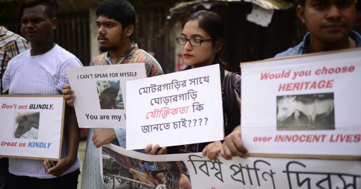 Ending wanton cruelty towards animals