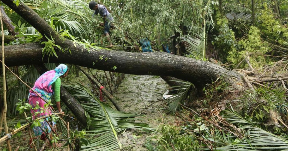 In pictures: Aftermath of Cyclone Bulbul