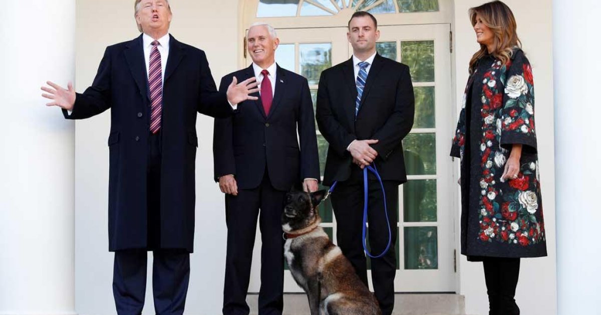 Trump presents Conan the dog, 'incredible' hero of Baghdadi raid
