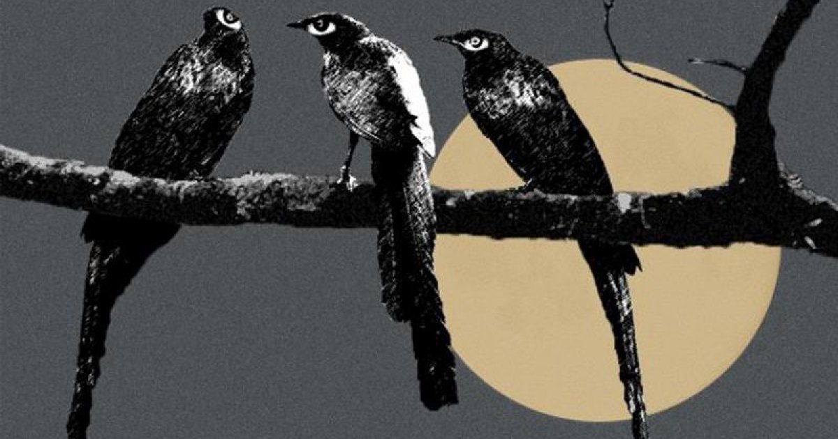 The Birds: A short story