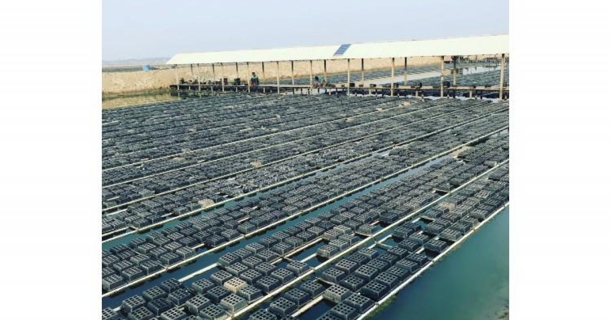 Life lessons from Jhorna, on the importance of alternative livelihood