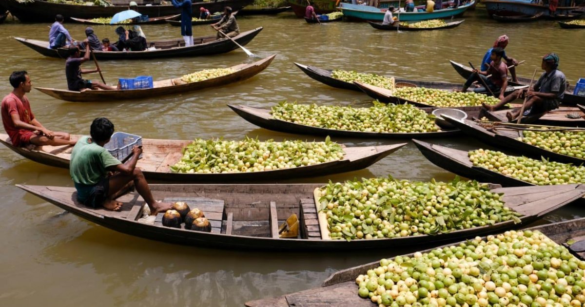 Floating Guava Market of Jhalakathi