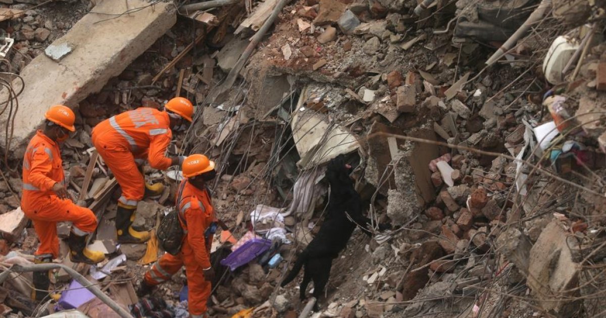 Rescuers say no-one else believed trapped in India building collapse Rescuers say no-one else believed trapped in India building collapse