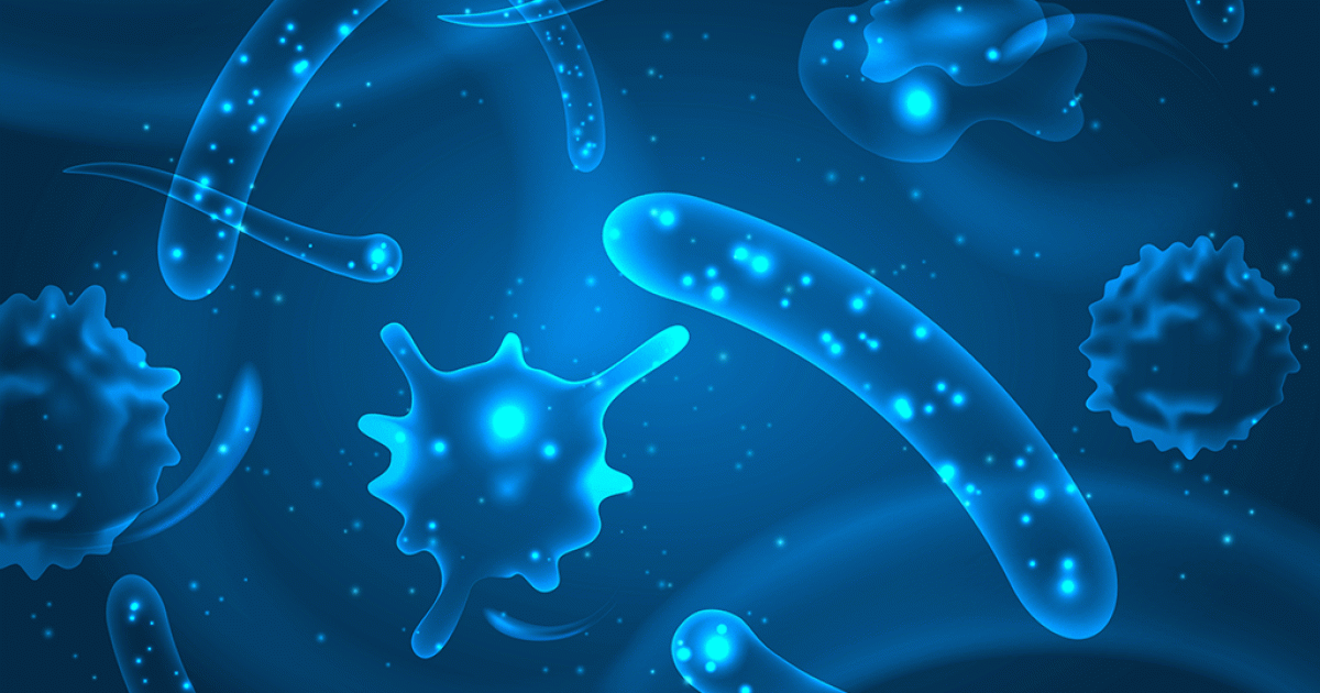 US city warned over brain-eating microbe in water