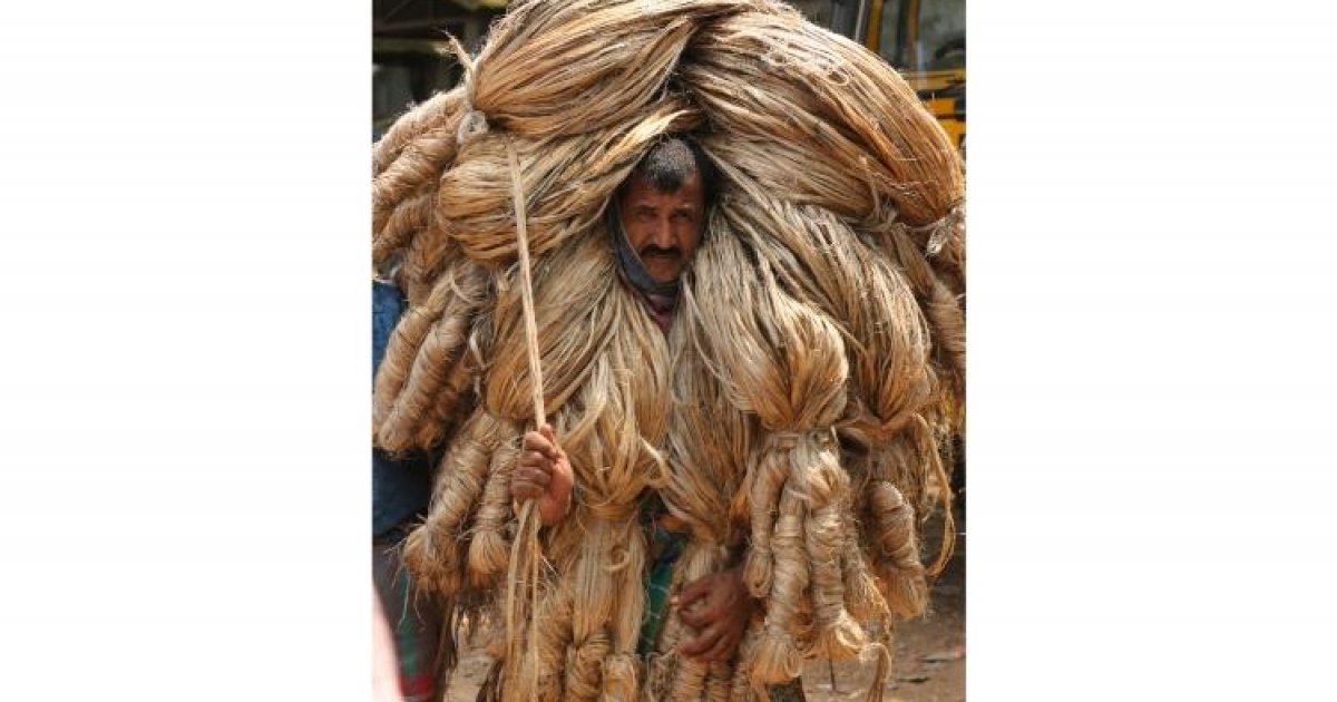 Bringing back the glory days of jute