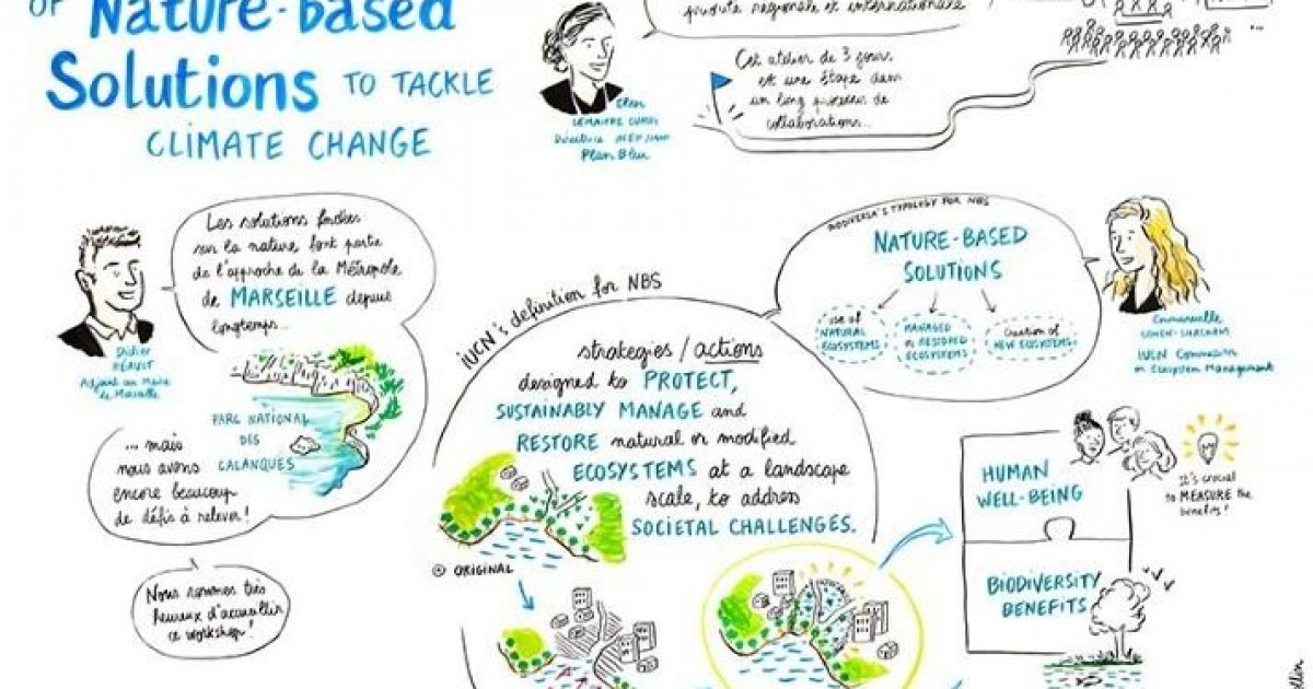 In harmony with nature