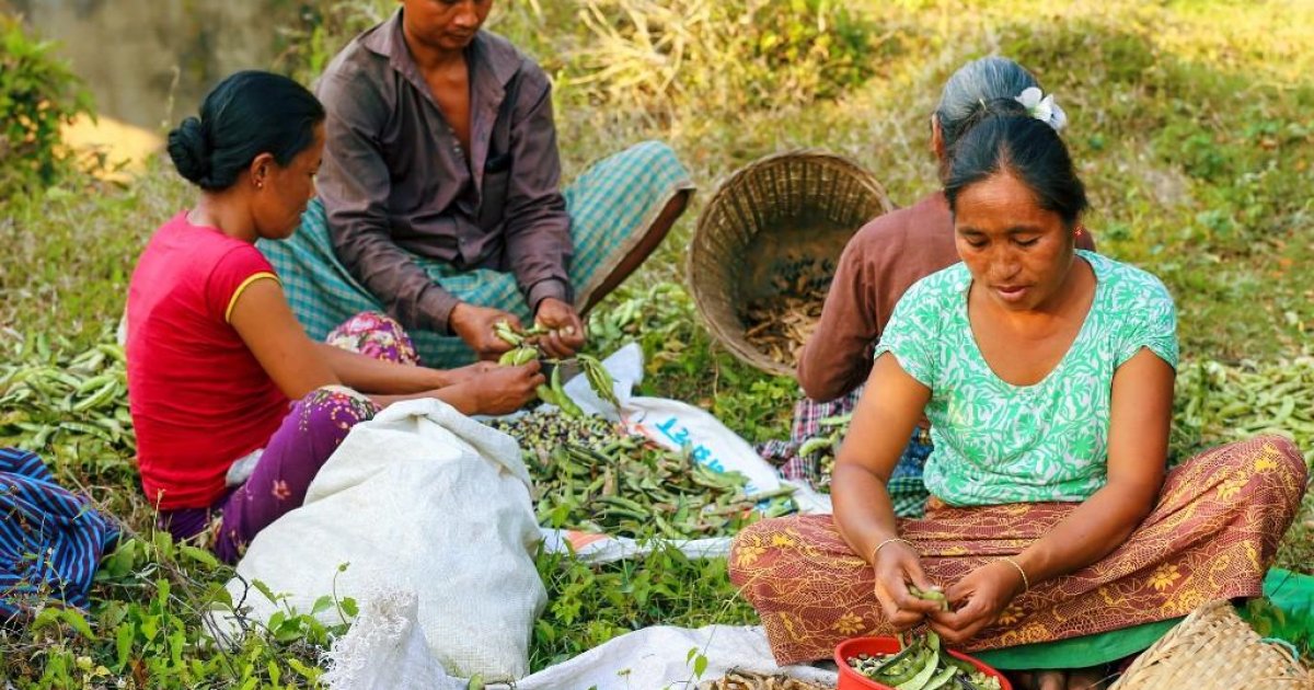 Int'l Indigenous Peoples Day: Communities suffer from lack of ...