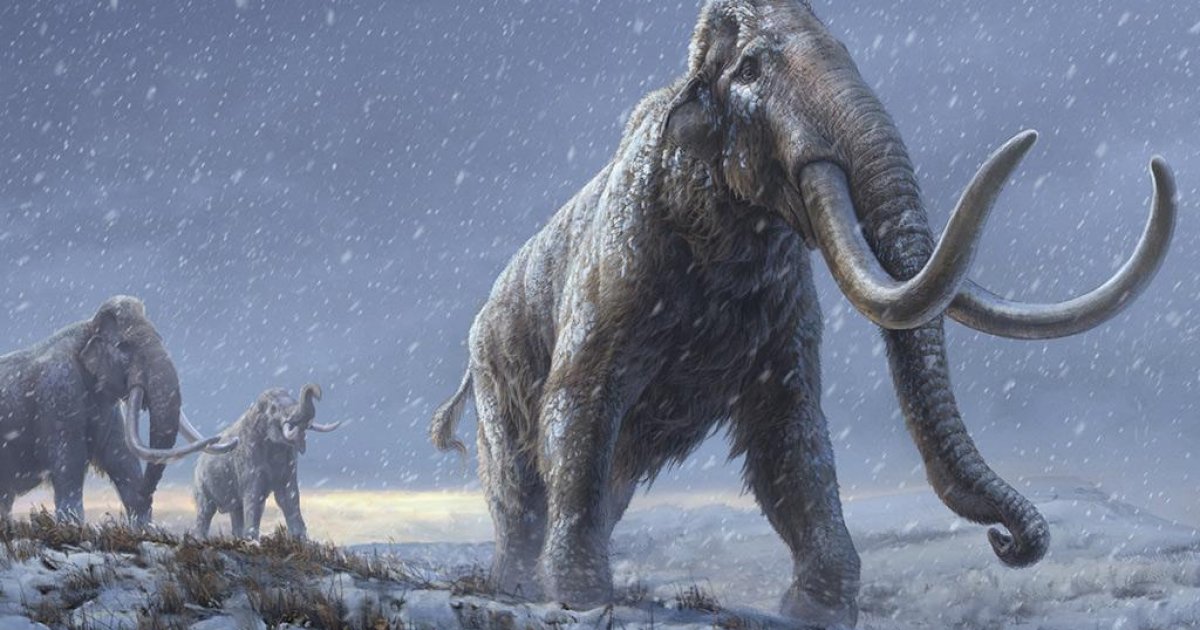 Infographic: Scientists plan to bring back mammoth