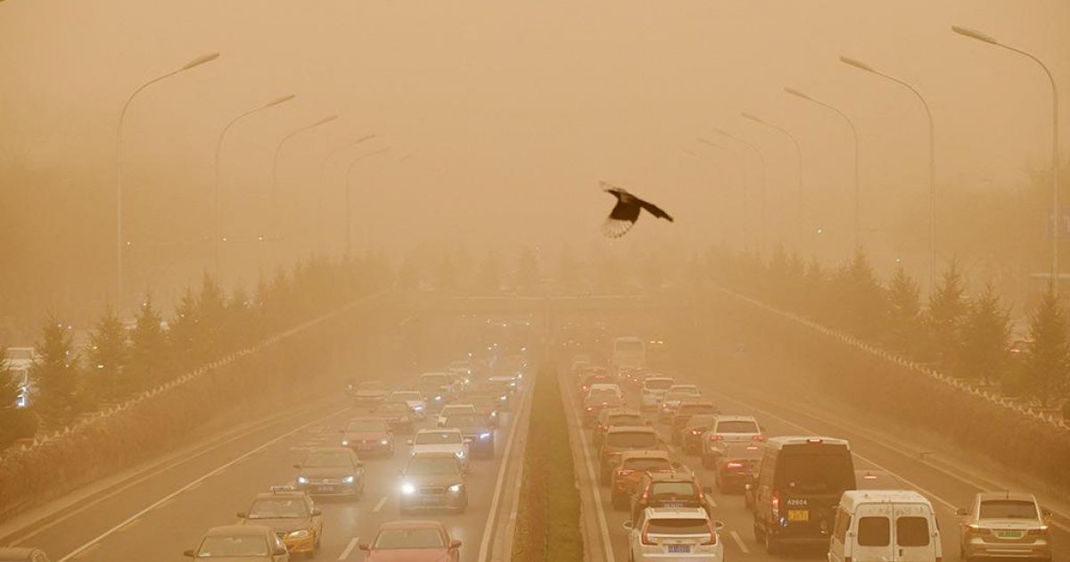 Lethal pollution high in 2020 despite lockdowns