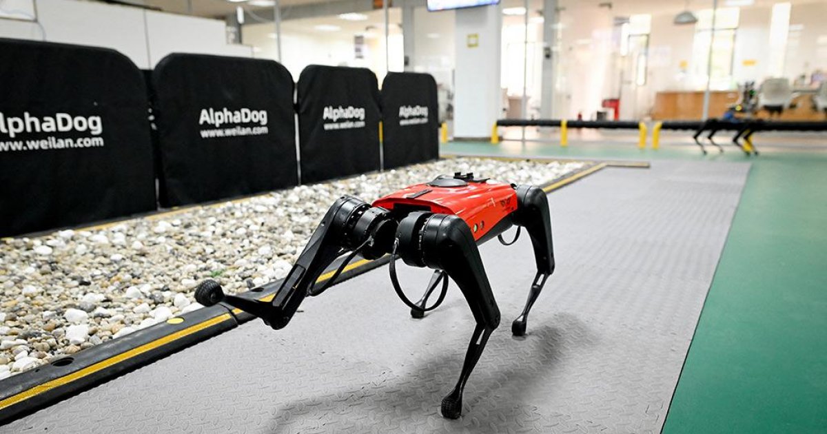 Chinese tech company develops robo-dogs