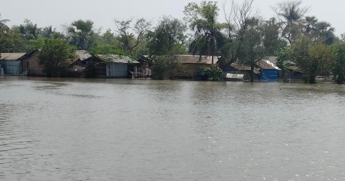 The devastating plight of Satkhira's coastal fish farmers