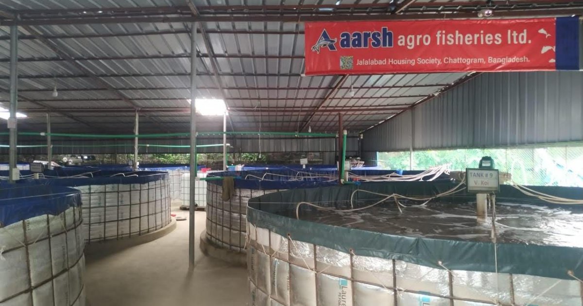 New technique helps farm more fish, minimize waste