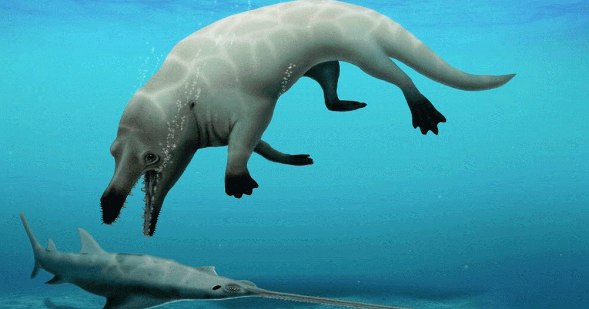 Fossil of previously unknown four-legged whale found in Egypt