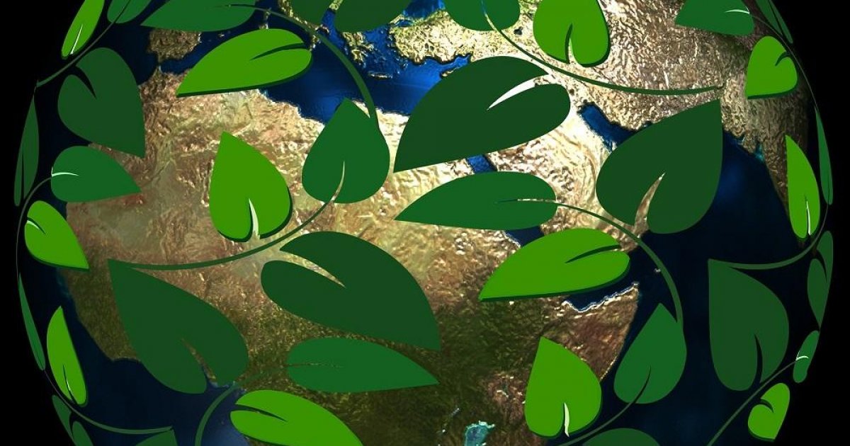 How I became a climate activist in Pakistan