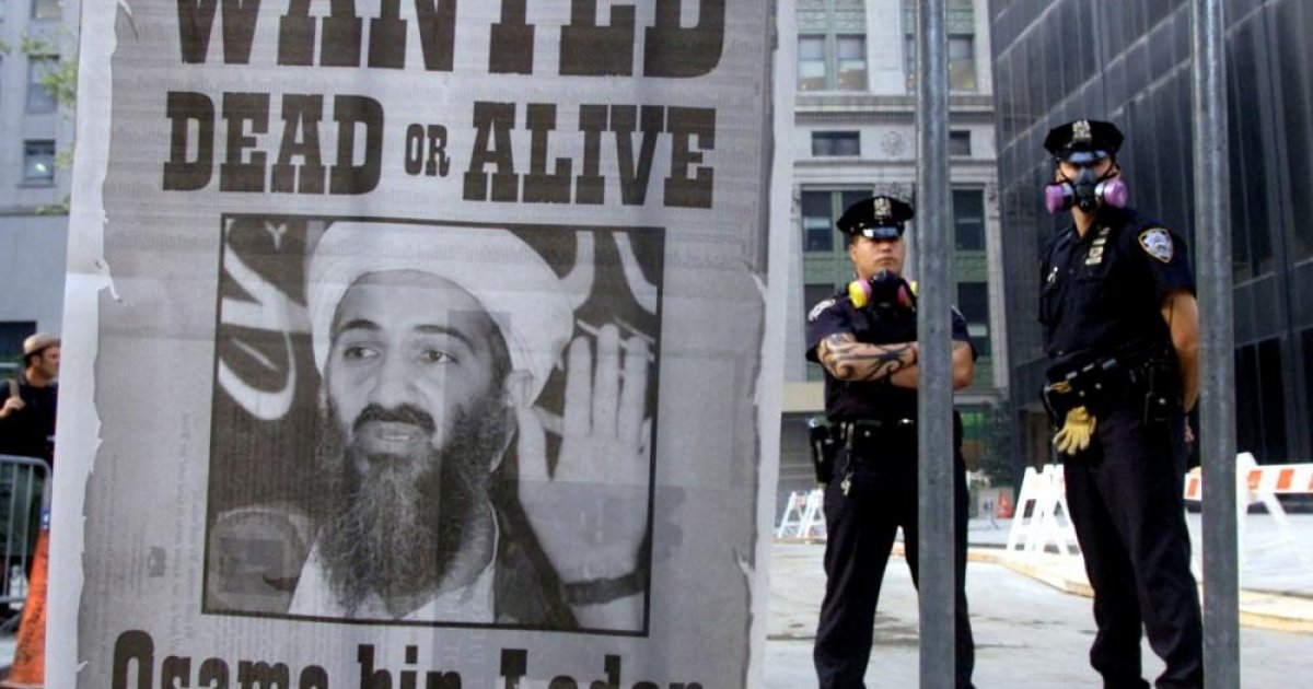 How did Osama bin Laden rise through the ranks?
