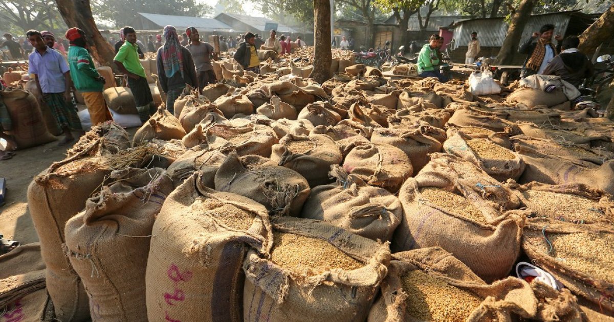 Will the wheat crisis bring more food independence?