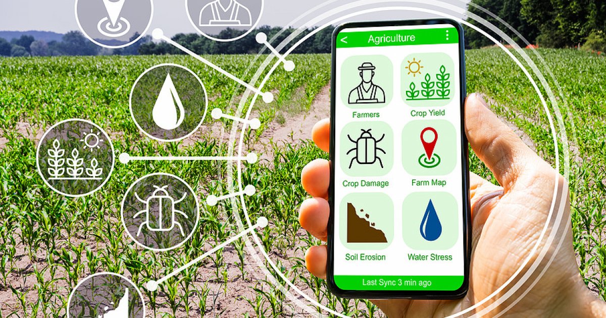 Youths showing the way in smart farming with apps