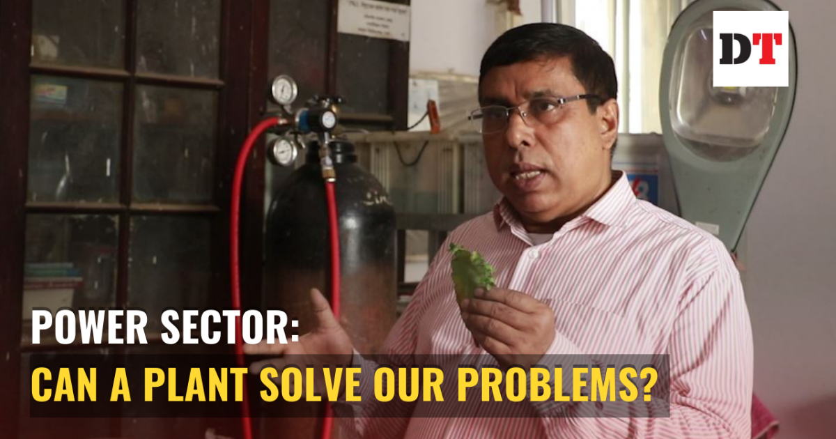 Power sector: Can a plant solve our problems?